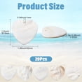 20Pcs Natural Freshwater Shell Pendants Heart Charms Seashell Color 30 ...
