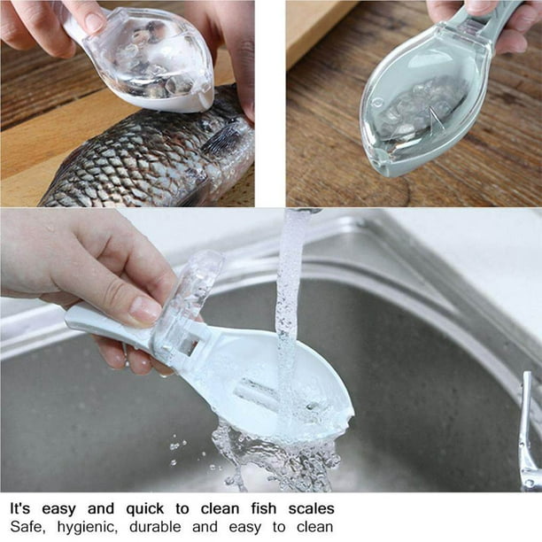 thinsony Fish Skin Brush Scraping Fishing Scale Brush Graters Fast ...