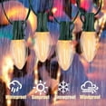 JINYUN-25Ft C7 LED Christmas Lights, Outdoor Christmas String Lights ...