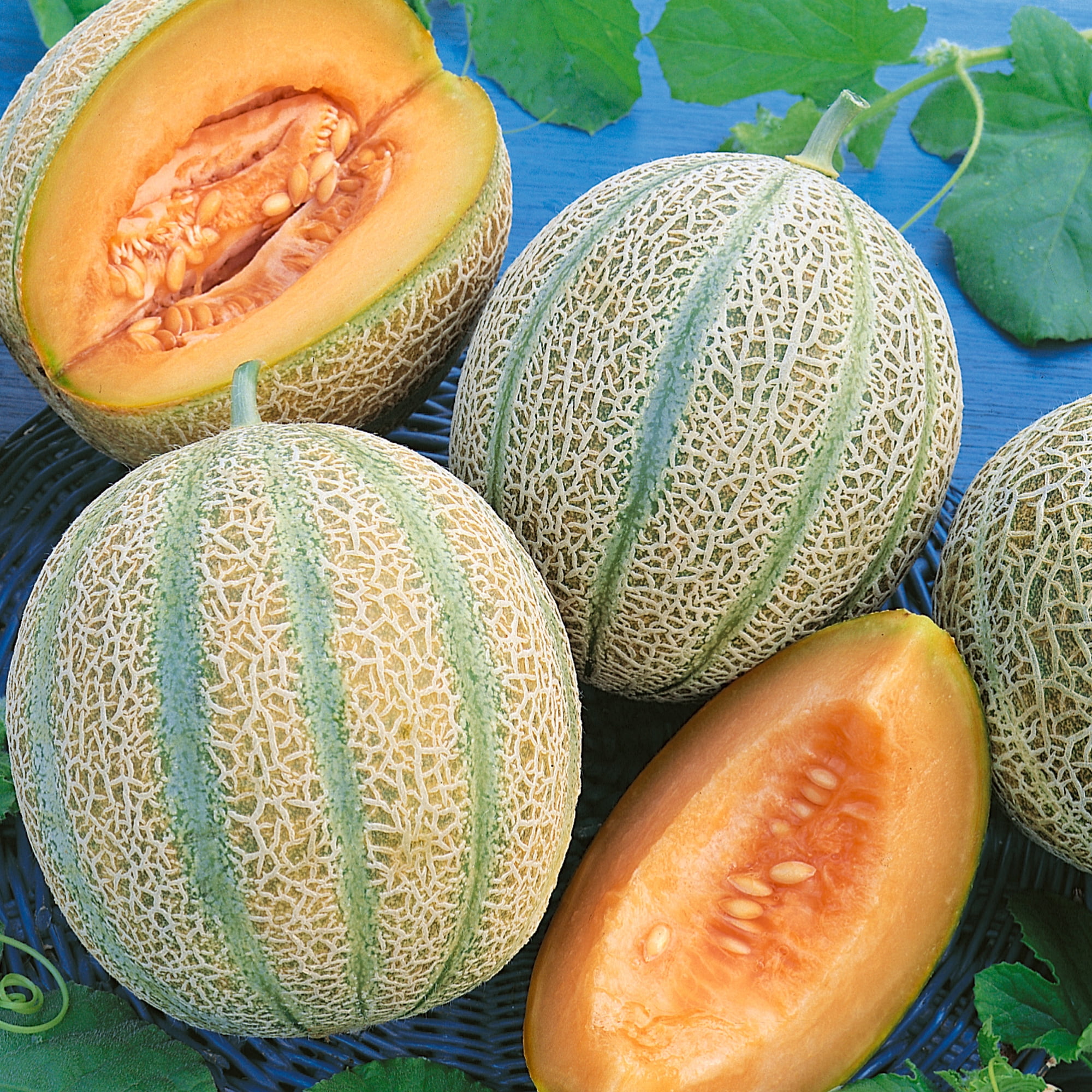 Delightful F1 Hybrid Melon Seeds - 3 g Packet ~80 Seeds - Non-GMO, F1 ...