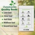 Outsidepride Morning Glory Blue Picotee - 100 Seeds - Walmart.com