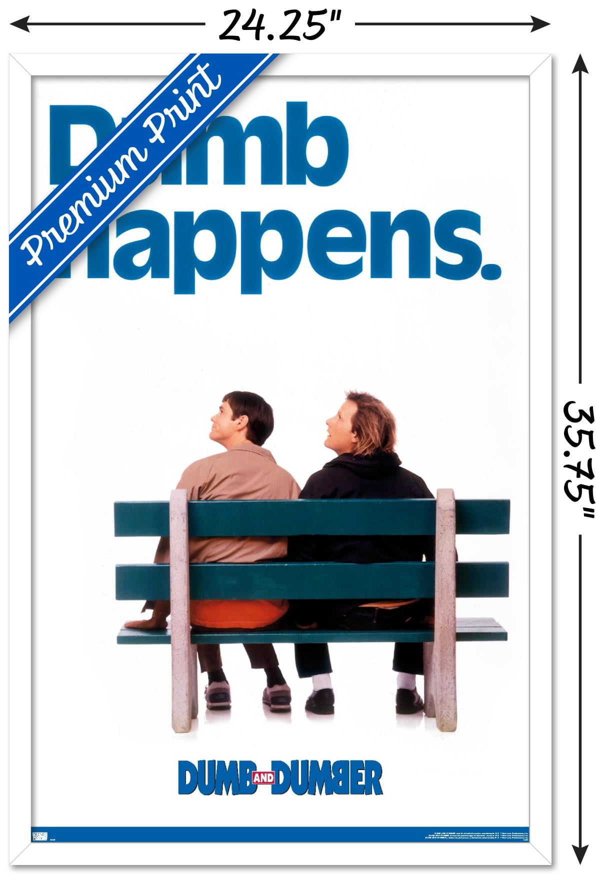 Dumb And Dumber To Poster