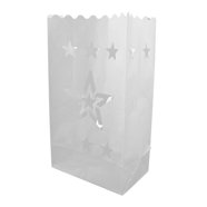 CleverDelights White Luminary Bags - 20 Count - Flame Resistant Paper ...