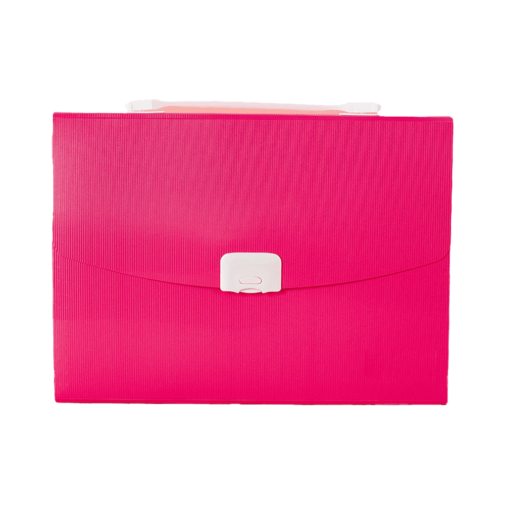 13-Pocket Expanding File Folder, Letter Size File Organizer, Document ...