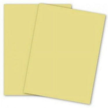 Springhill 075300 110 lbs. 8.5 in. x 11 in. Digital Index Color Card ...