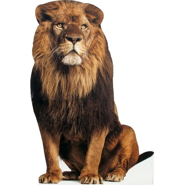 aahs!! Engraving Animal Life Size Cardboard Cutout Stand Up | Standee ...