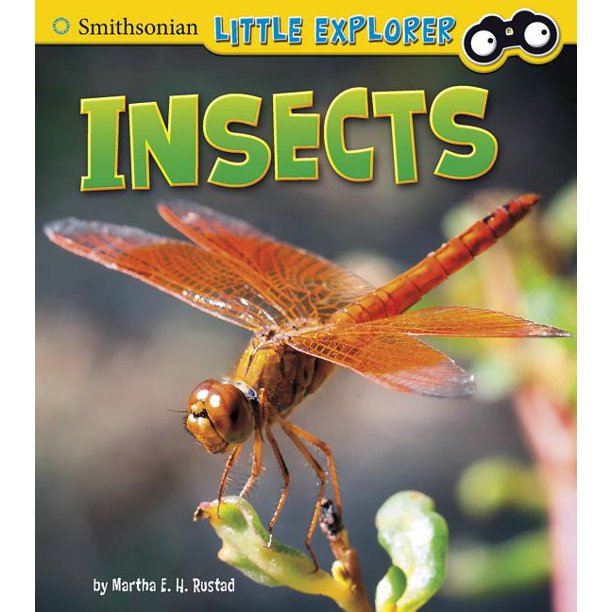 Little Scientist: Insects (Hardcover) - Walmart.com
