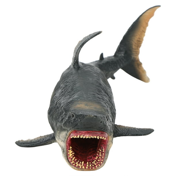 Sharks Model, Natural History Animal Rare Model Sea Life Toy ...