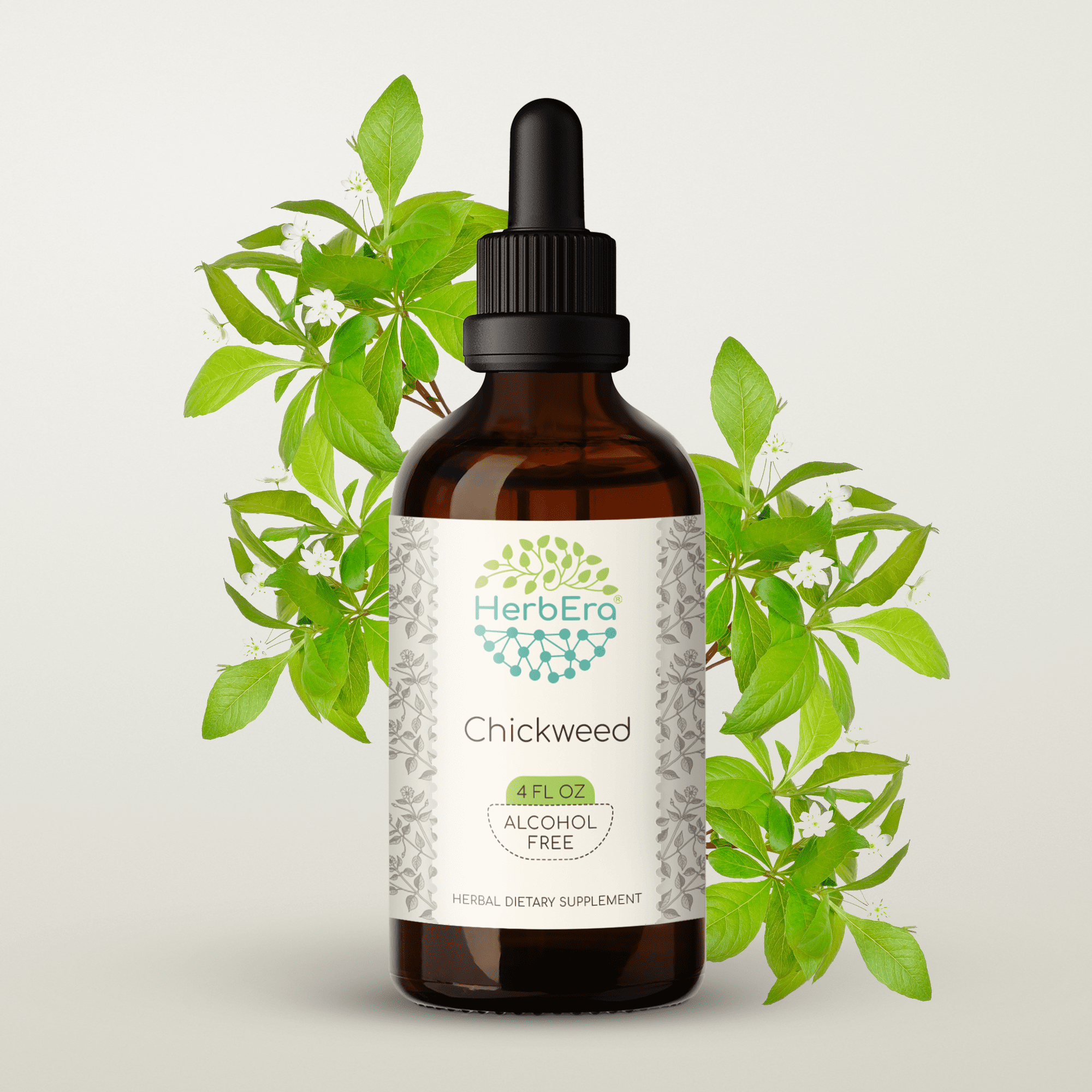 Chickweed Alcohol-FREE Herbal Extract Tincture, Super-Concentrated ...
