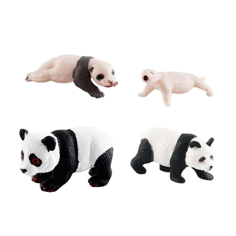 Panda Life Cycle Project Montessori Panda Life Cycle And Parts Of A