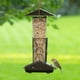 Perky-Pet Fortress Squirrel Proof Bird Feeder - Walmart.com