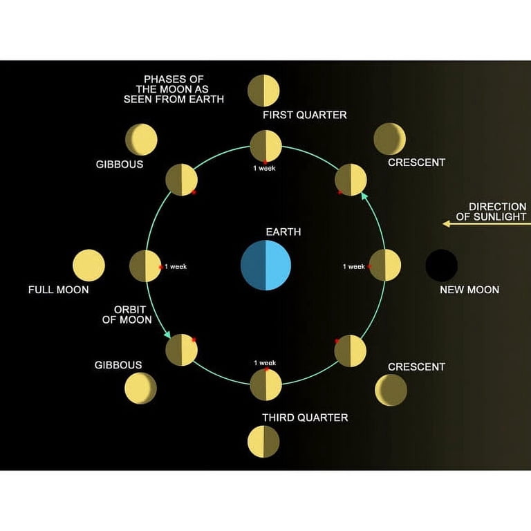 Moon Phases Diagram From Space