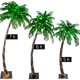 Wintergreen Lighting 5 Ft. Multi-Function Lighted Palm Tree with 104 ...