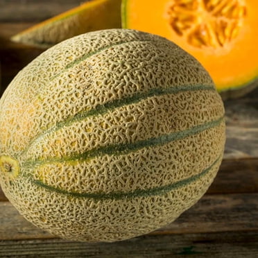 Watermelon Garden Seeds - Shiny Boy Hybrid (Treated) - 1000 Seeds - Non ...