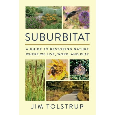 Stop the Pain: The Six to Fix, (Paperback) - Walmart.com