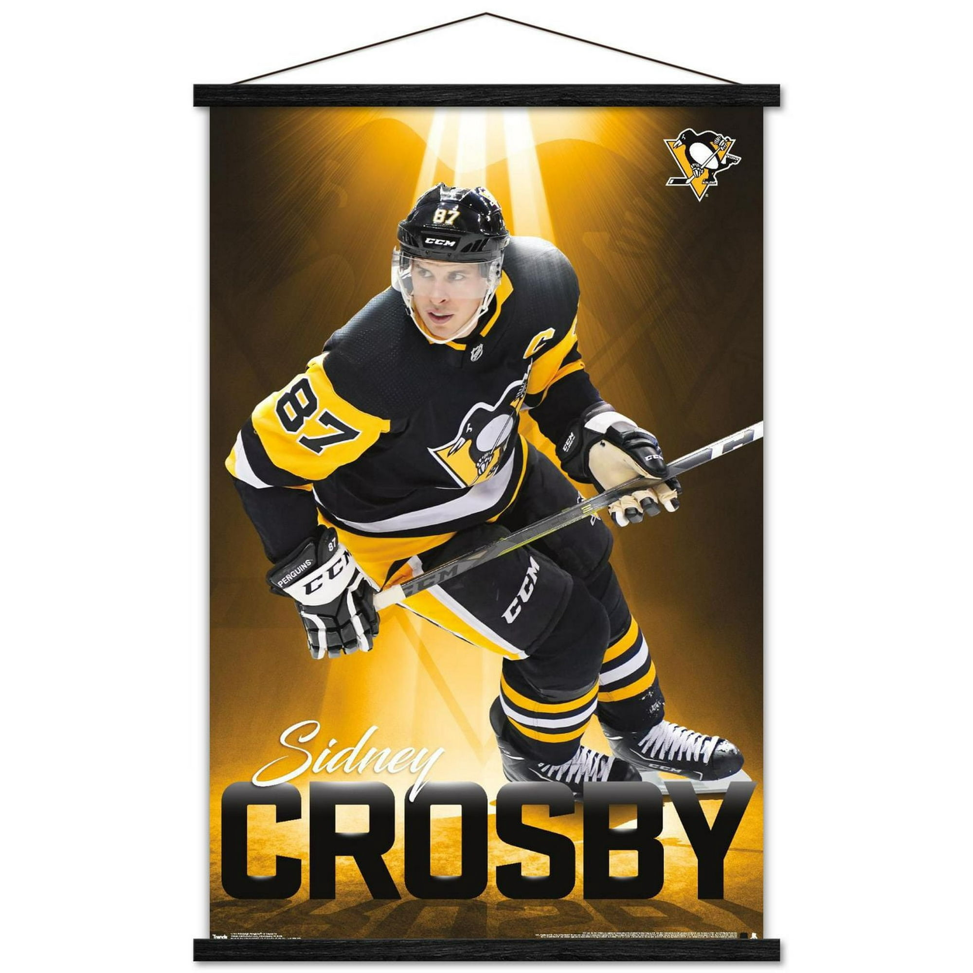 Click here for Trends International Nhl Pittsburgh Penguins - Sid... prices