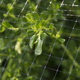 ALEKO Garden Crop Protective Bird Repellent Net - Black - 14 x 200 Feet ...