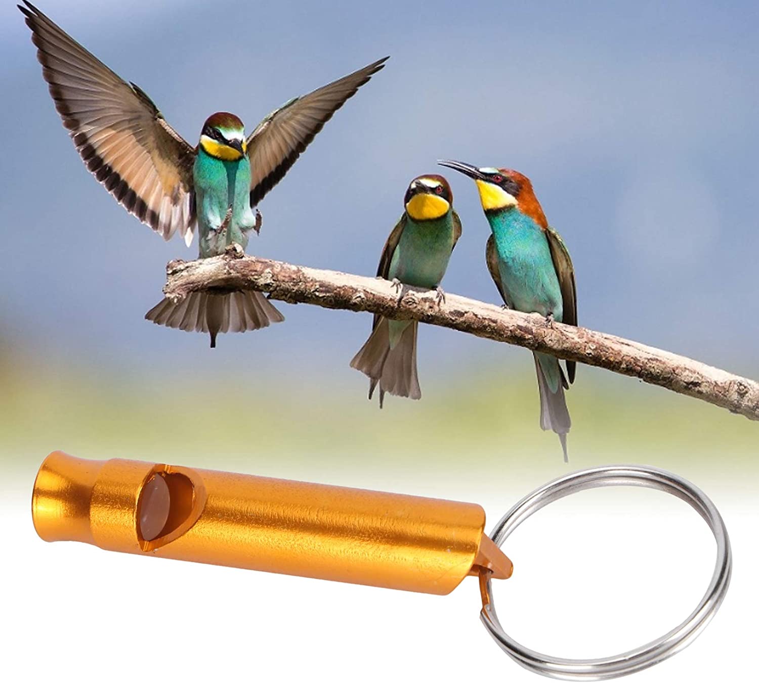 Pet Training Whistle, Dog Bird Training Recall Birds Pigeons Training ...