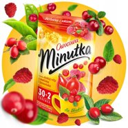 Loyd Pineapple and Pear Fruit Tea 20 teabags (40g) - Walmart.com