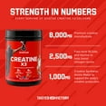 Six Star Pro Nutrition Creatine X3 Powder with BCAAs and Taurine, Fruit ...