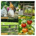 Green Chicken Wire inch(H) x 100 ft(L), Anti-Rust Hexagonal Galvanized ...
