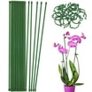 TSV 10pcs Plant Support Stakes, Single Stem Plant Sticks for Garden ...