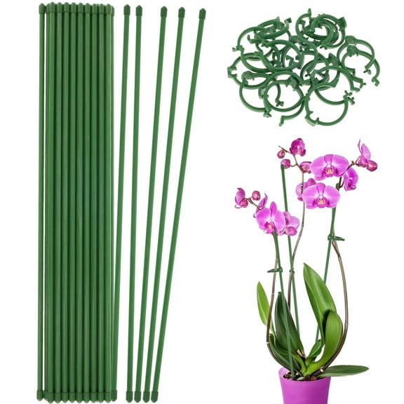 TSV 10pcs Plant Support Stakes, Single Stem Plant Sticks for Garden ...