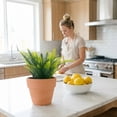 Unique Bargains Artificial Sago Palm Plant in Ceramic Pot Gray-Green 6. ...