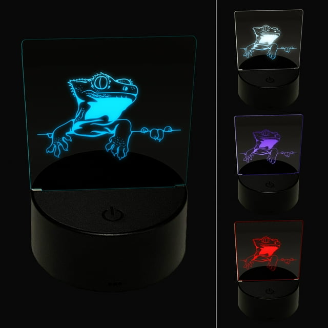 Crested Gecko on Ledge Lizard LED Night Light Sign 3D Illusion Desk ...