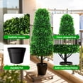 All-season Evergreen Artificial Boxwood Cone Tree Set of 2, 33.1 Inch ...
