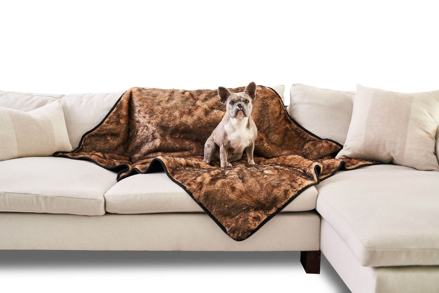 Paw Brands Dog Blanket Waterproof Cool Comfort Throw Blanket for Pets ...