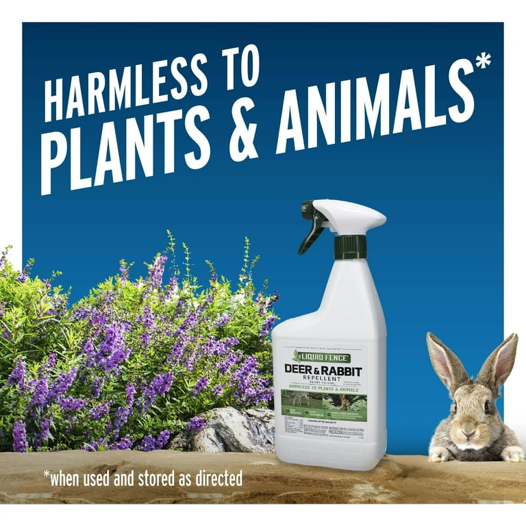 Rabbit repellent for plants store