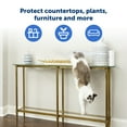PetSafe SSSCAT Automatic Spray Pet Deterrent, Motion-Activated ...