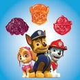 L’il Critters Paw Patrol Gummy Vites Daily Gummy Multivitamin for Kids ...