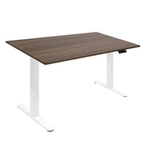Dual Motor Electric Standing Desk with 55" Tabletop - Black Base ...