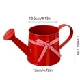zhonghuaying 1 Pack Decorative Metal Watering Can, Small Garden ...