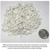 HElectQRIN Perlite, 120 Quarts, 4 Cubic Feet, Coarse Gardening Soil ...