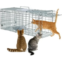 Havahart 1078 Pro Cage - Squirrel Live Critter Rodent Catcher, Medium 1 ...