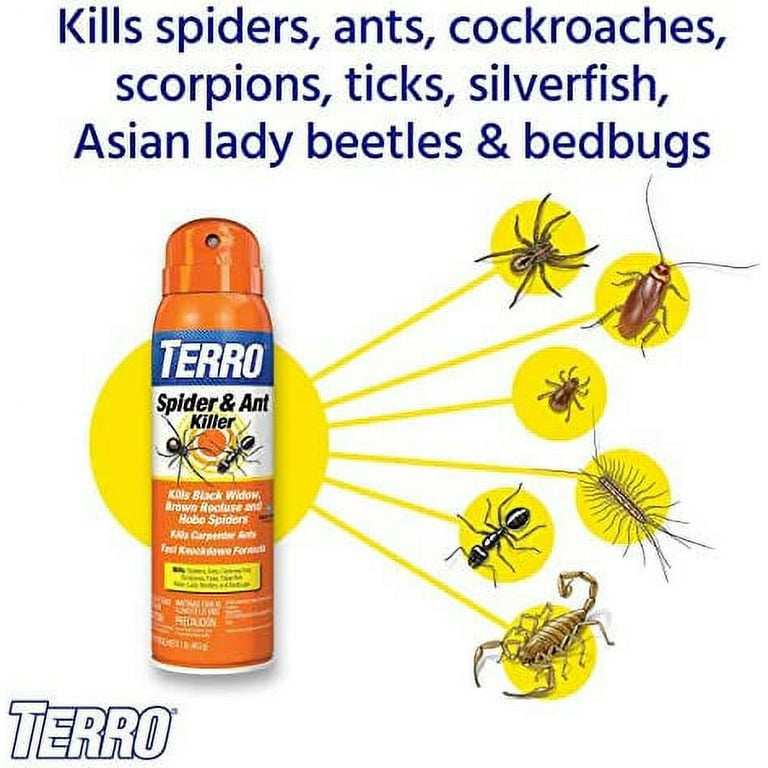Spider Killer Spray