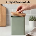 Sage Green Iron Food Storage Canisters Set of 3 for Flour Sugar ...