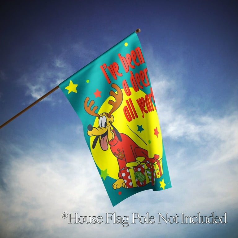 Disney House Flags