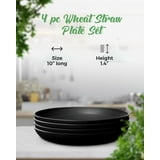 Set of 4 Wheat Straw Plates - Reusable Unbreakable Wheatstraw Plastic ...