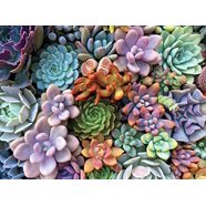 24 X 18 The Hand of God Puzzle (500 pcs) by Yongsung Kim - Walmart.com