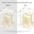 24-Pack Clear 10x10x10 Inch 2-Layer Cake Carrier Boxes with Lids and ...