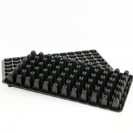 Seedling Vegetable Succulent Sprouts Flat black multi slots seeding ...