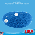 LOLA Plastic Mesh Scourers, Non-Scratch All-Purpose Cleaner Pads, Rust ...