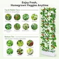 Smart Hydroponic Growing System Kit, Safe and Durable Indoor Gardening ...