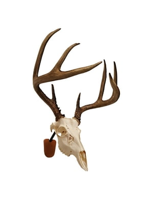 Trophy Mounts in Game Processing Equipment - Walmart.com