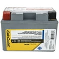 Cub Cadet Battery 210 CCA 11 Ah Rigid Fit for Ultima ZT1 ZT2 ZTS1 ZTS2 ...