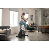 ProForm Cycle Trainer 300 Ci Upright Stationary Exercise Bike ...